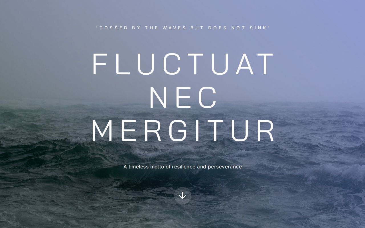Fluctuat Nec Mergitur